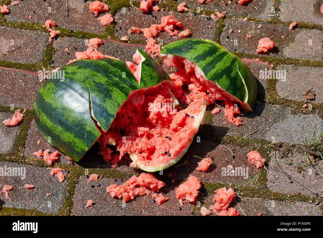 Dropped watermelon on the ground Stock Photo - Alamy