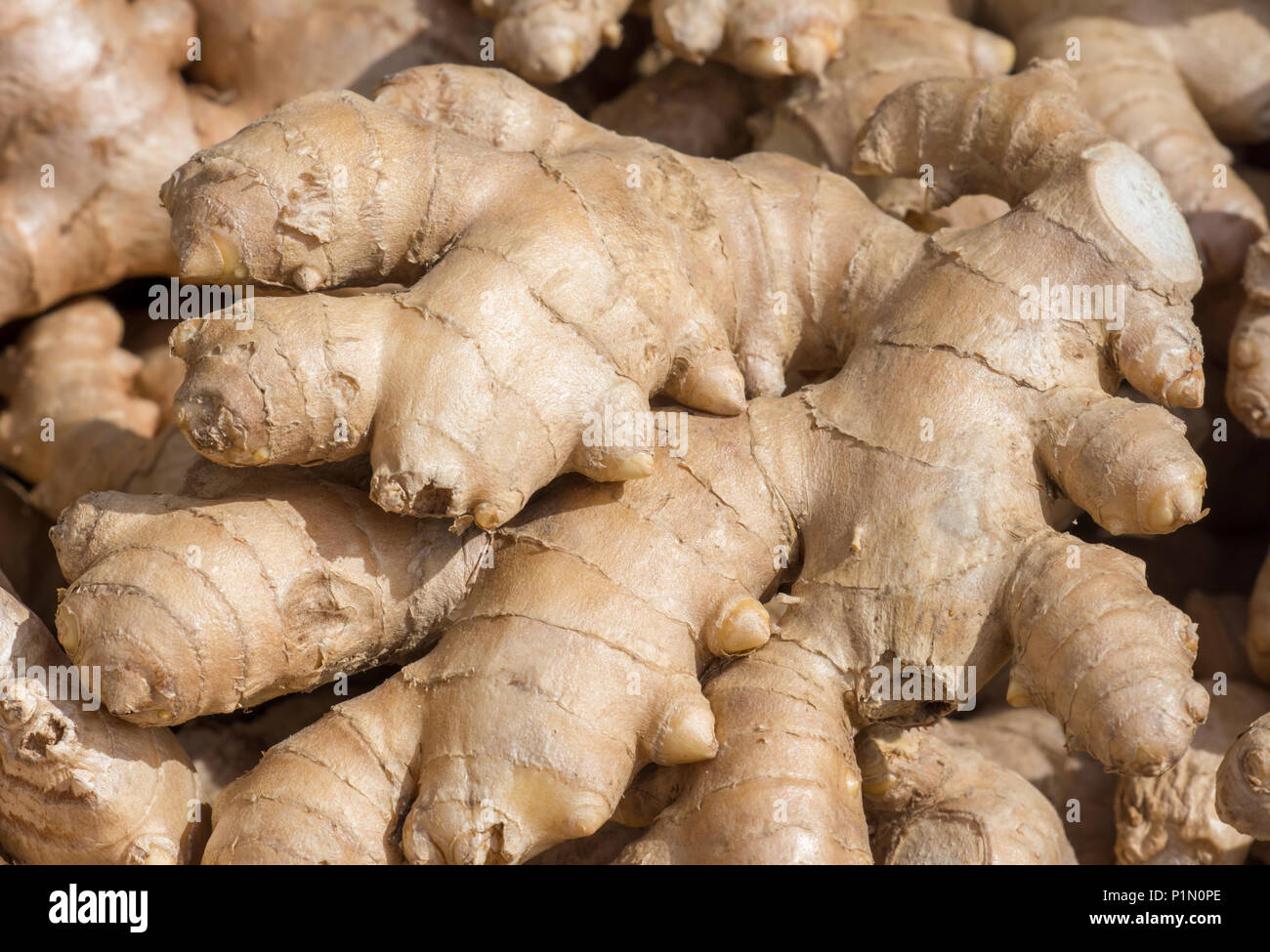 Ginger roots market hi-res stock photography and images - Alamy