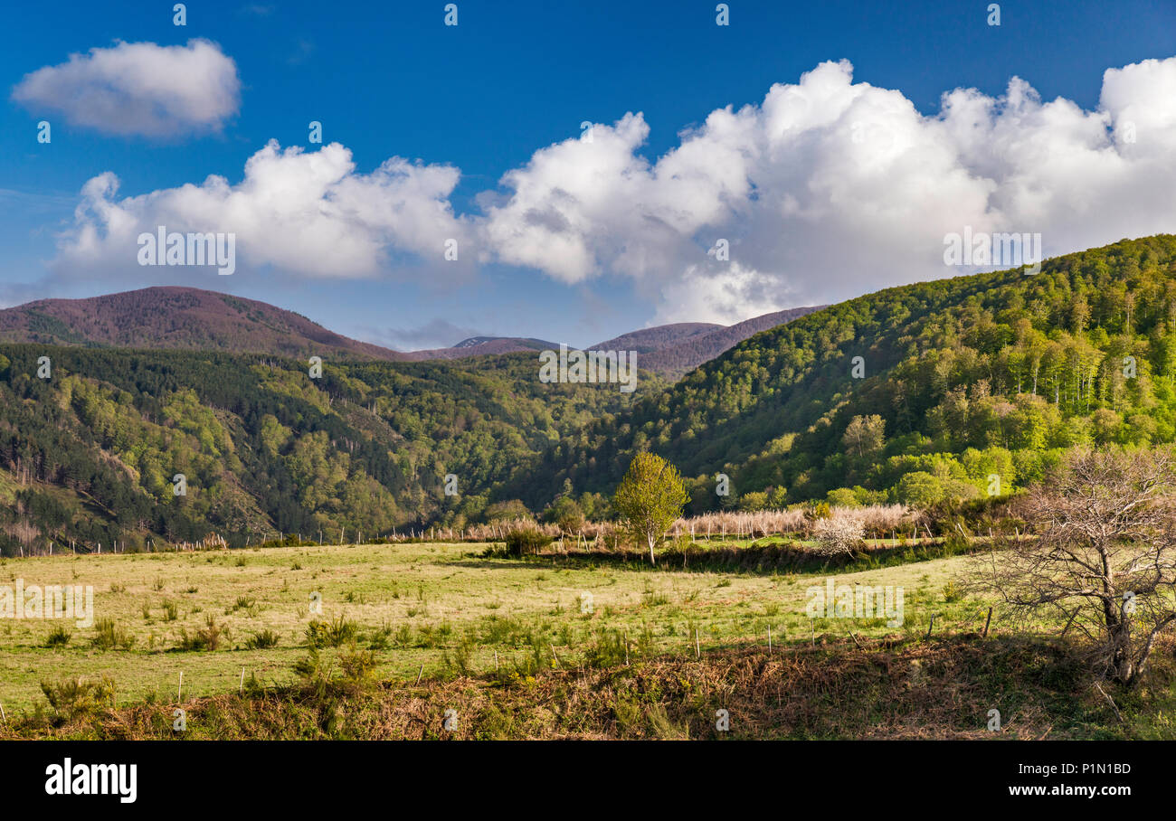 Aspromonte Massif, view from northwest, near Gambarie, in Aspromonte ...