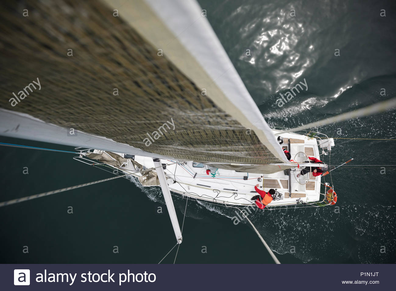 Overhead view sailing team training on sailboat Stock Photo - Alamy