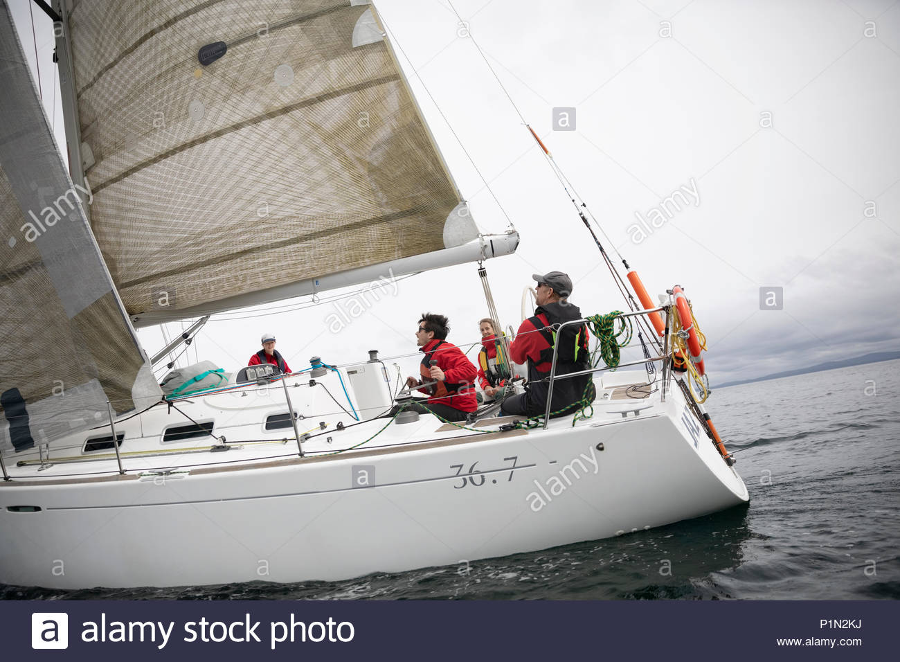 sailing team training on sailboat on ocean Stock Photo - Alamy