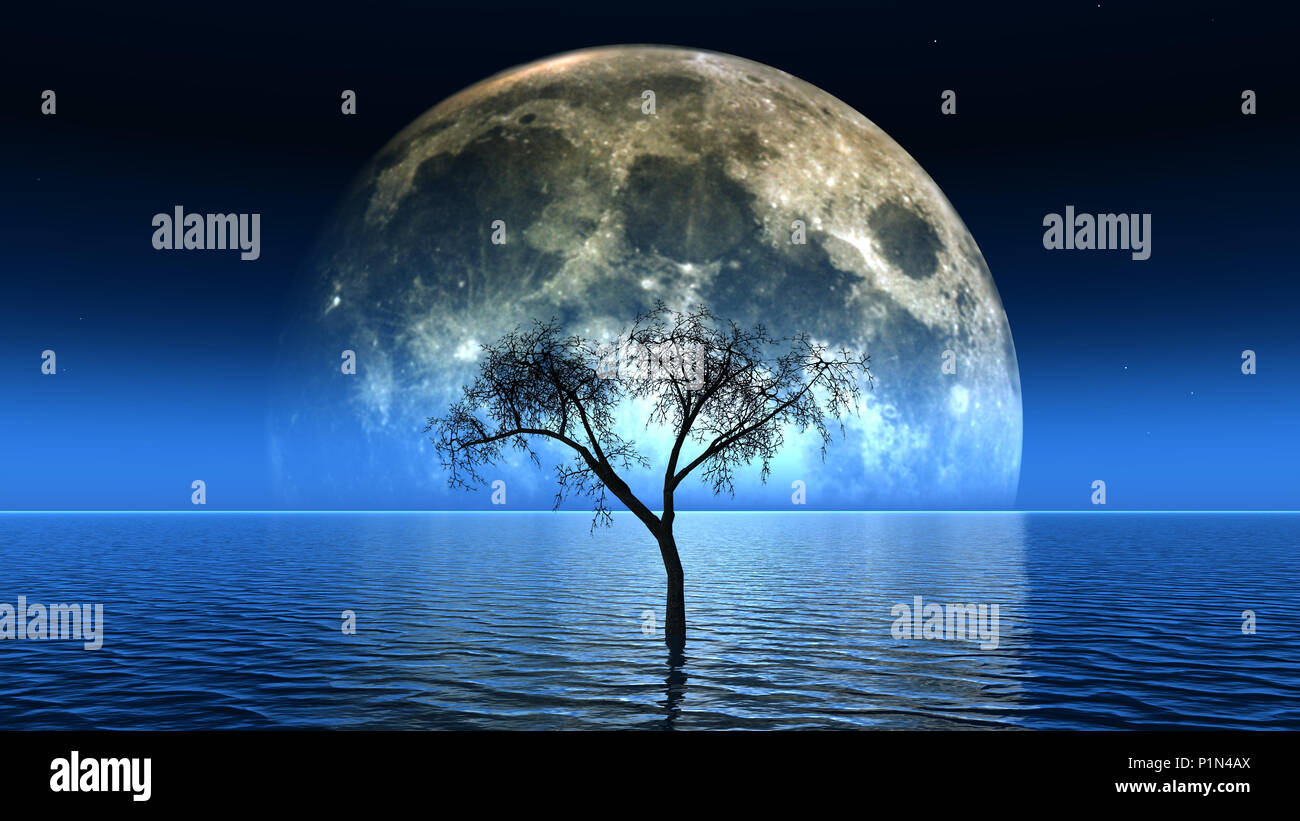 3D render of a dead tree in see with moon in sky Stock Photo - Alamy