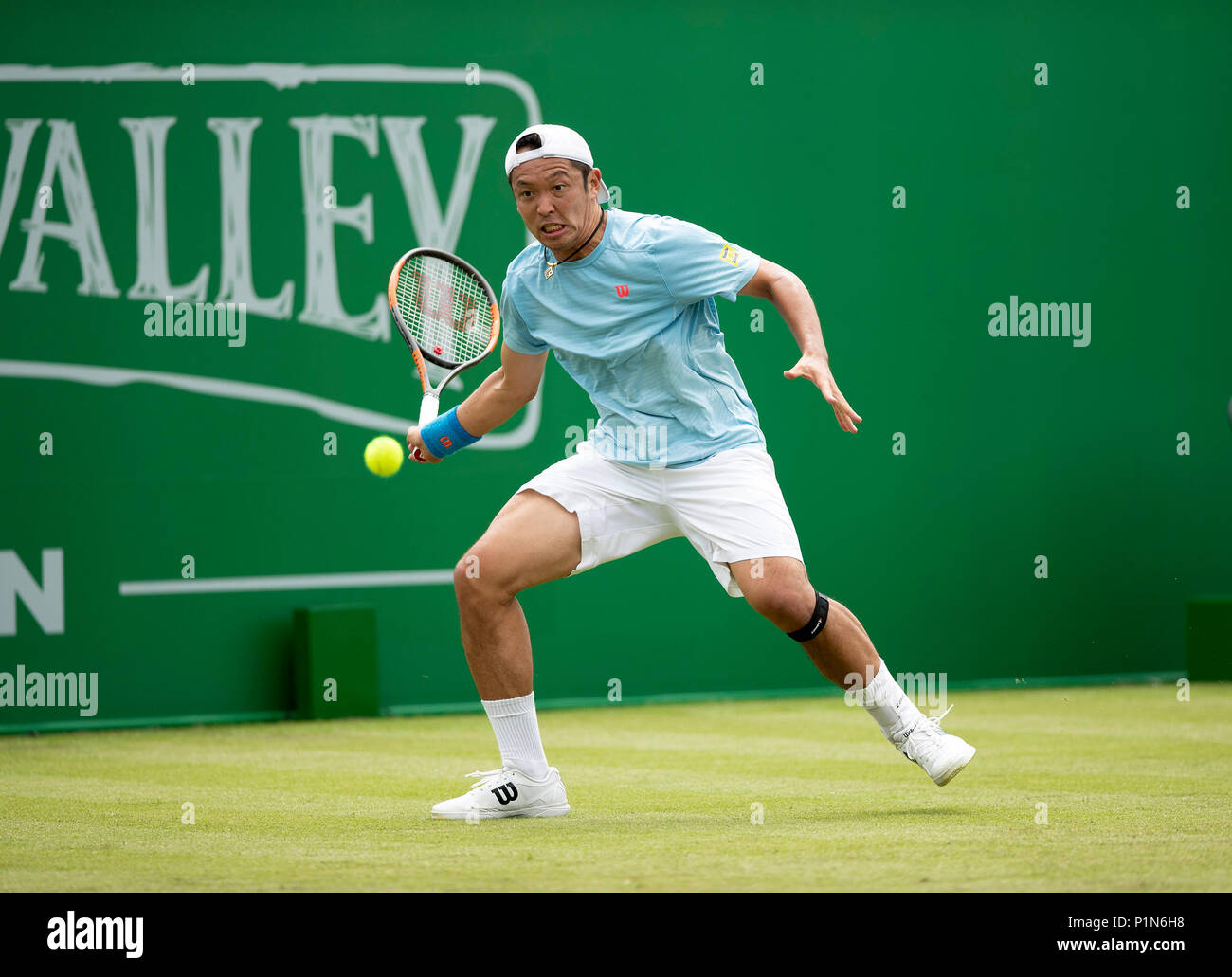 Nottingham Tennis Centre, Nottingham, UK. 12th June, 2018. The Nature ...