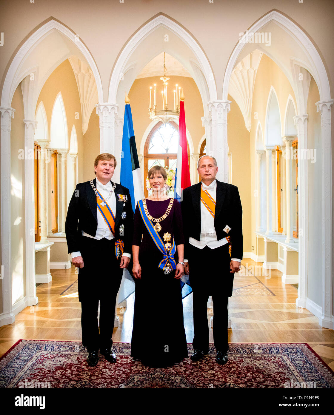 King Willem-Alexander of The Netherlands during an official state ...