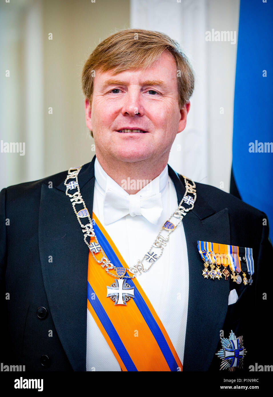 King Willem-Alexander of The Netherlands during an official state ...