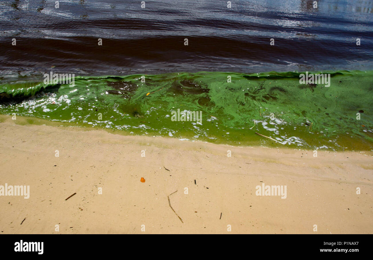 Lucie River Florida High Resolution Stock Photography and Images - Alamy
