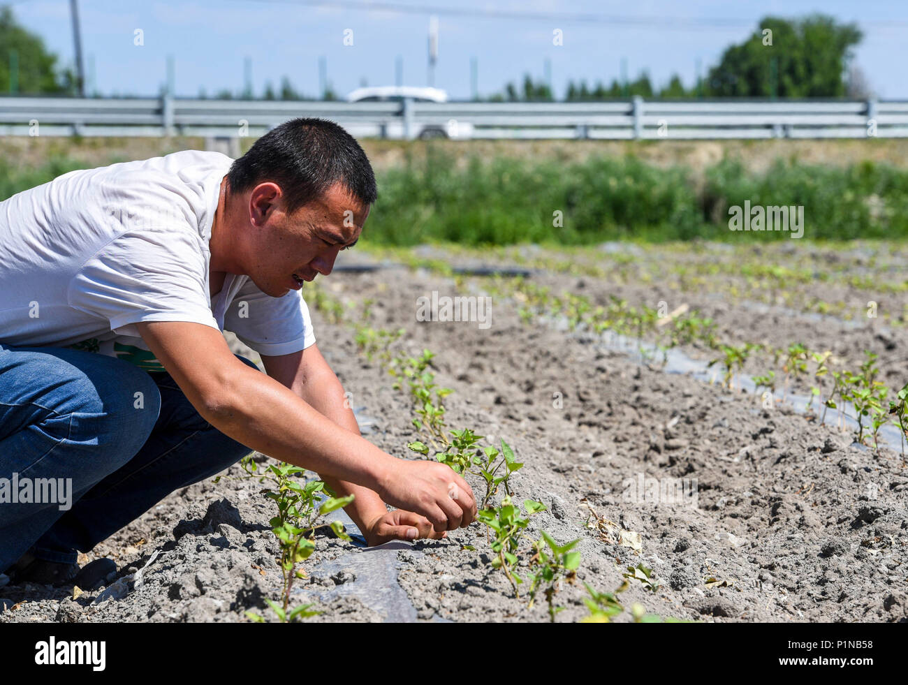 Zhongliang hi-res stock photography and images - Alamy