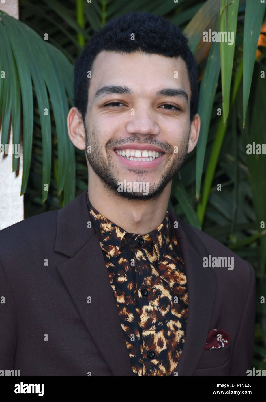 Justice smith jurassic world High Resolution Stock Photography and ...