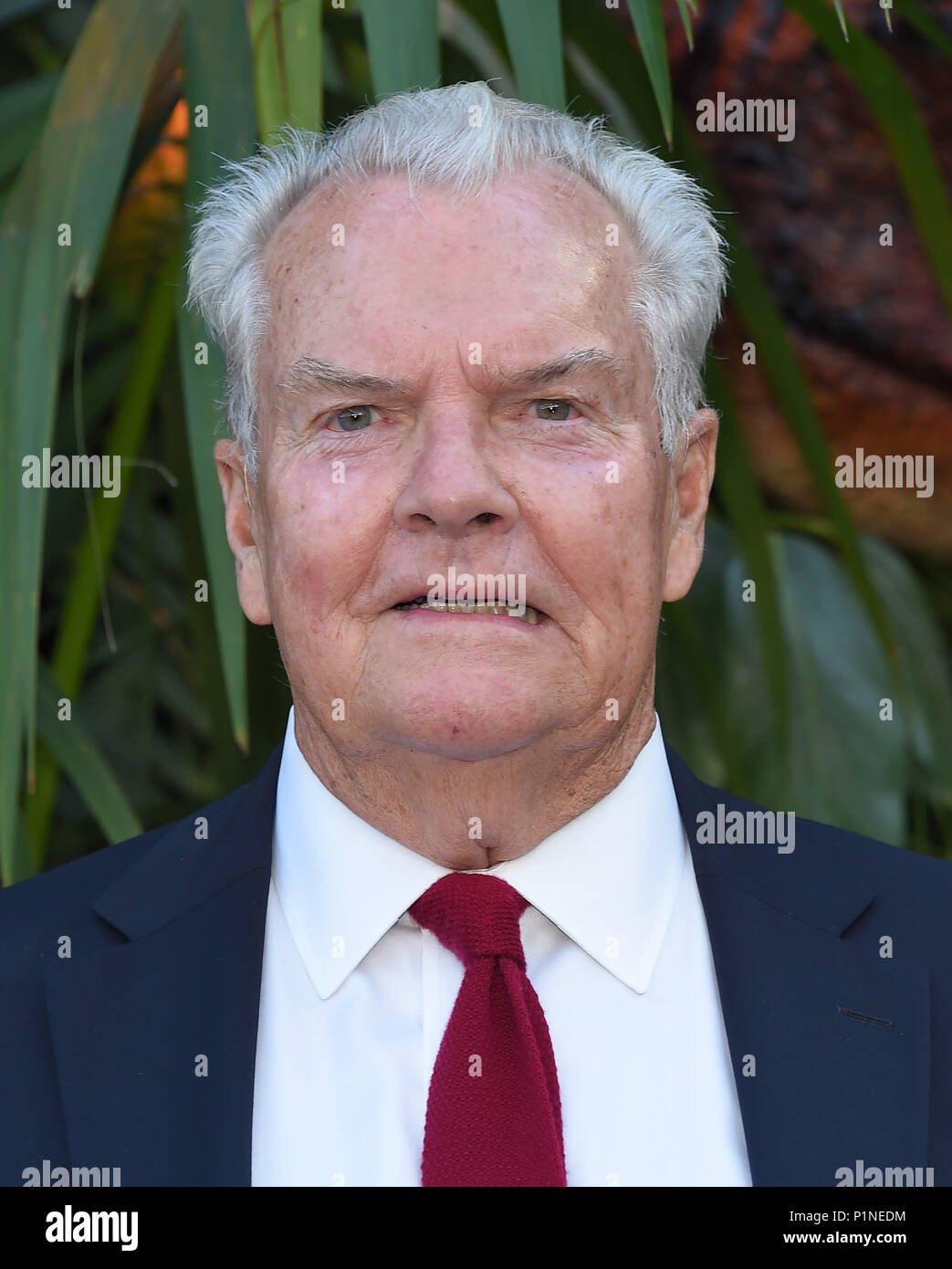 Los Angeles, California, USA. 12th June, 2018. Peter Jason arrives for ...