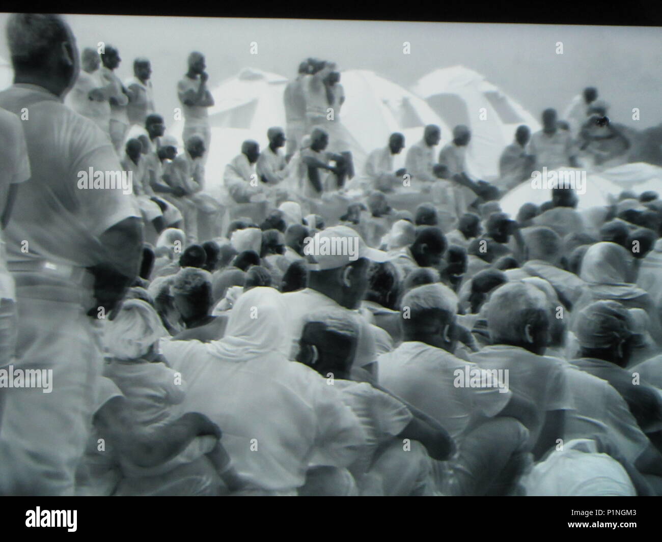Richard mosse – incoming hi-res stock photography and images - Alamy
