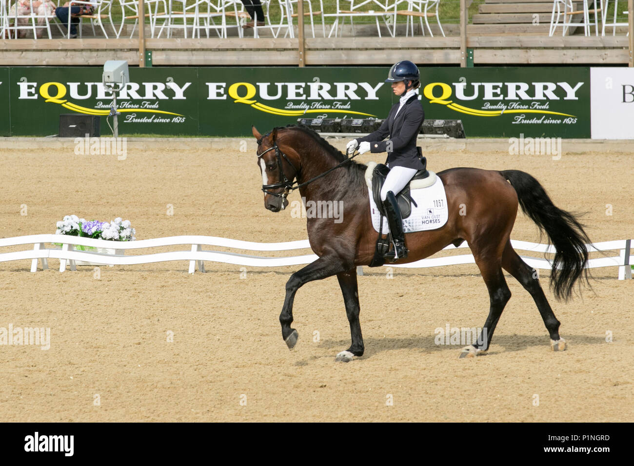 Charlotte fry hi-res stock photography and images - Alamy