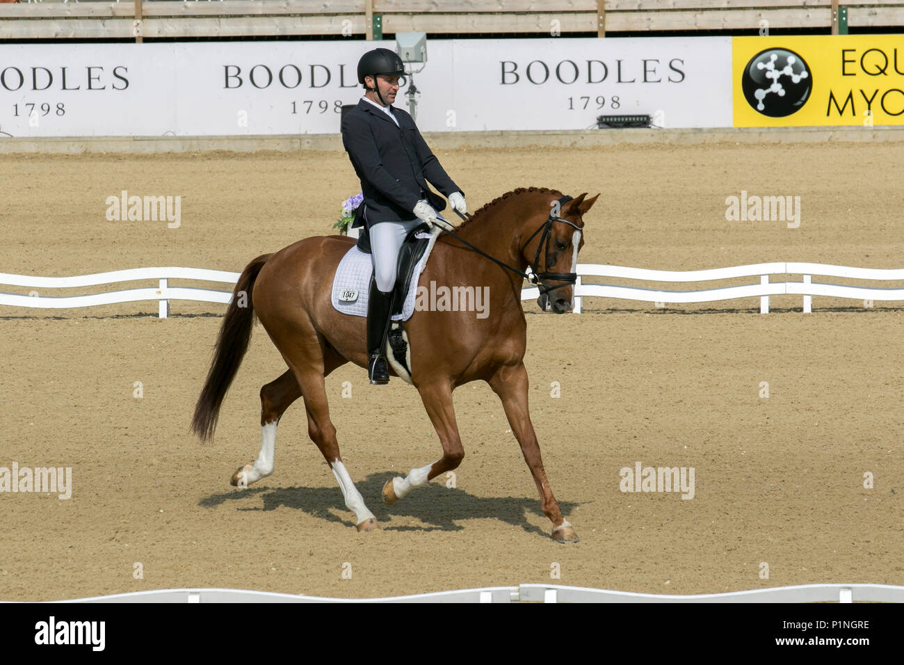 Charlotte fry hi-res stock photography and images - Alamy