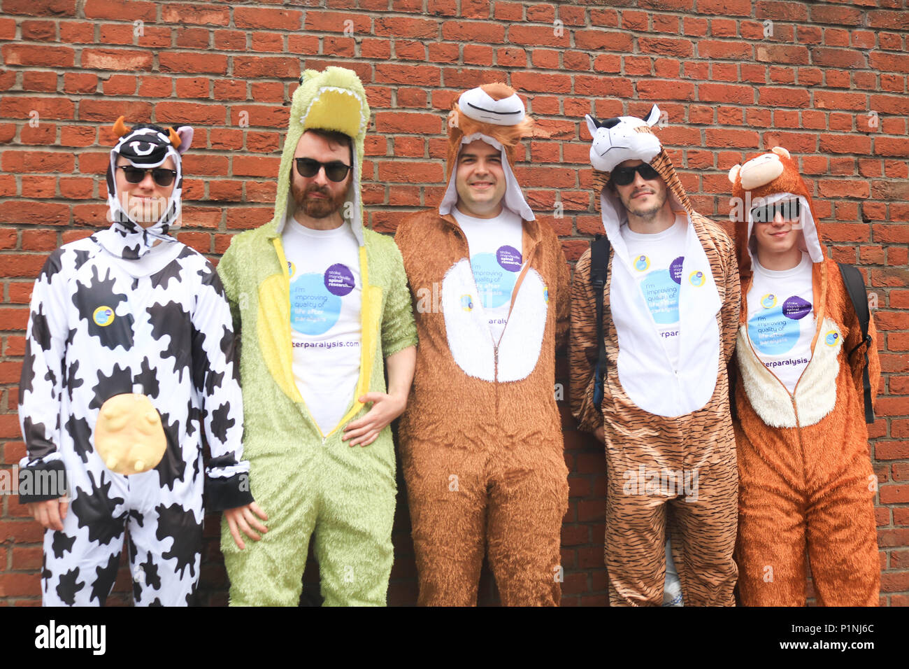 Cricket fancy dress fans hi-res stock photography and images - Alamy