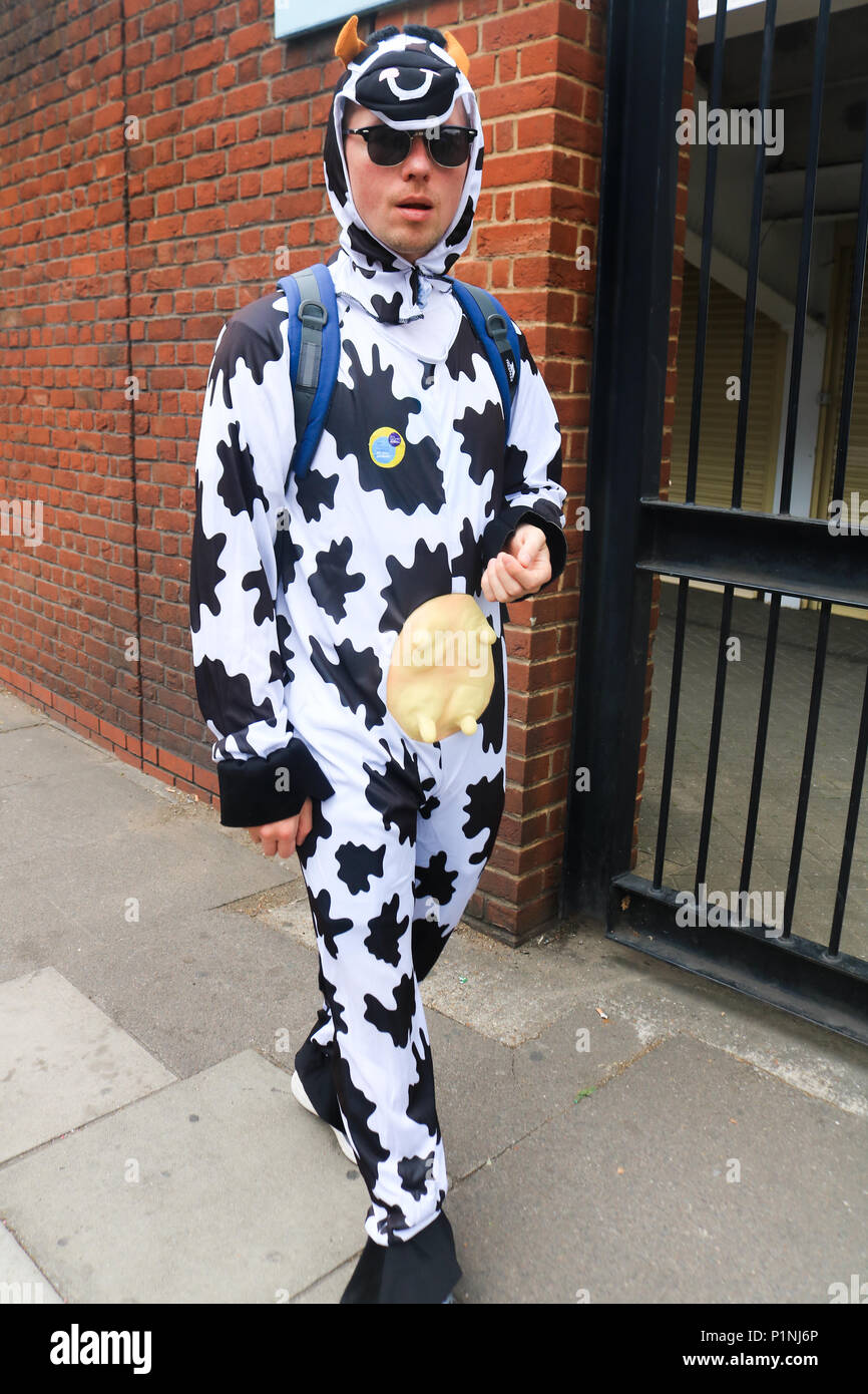Cricket fans fancy dress hi-res stock photography and images - Alamy