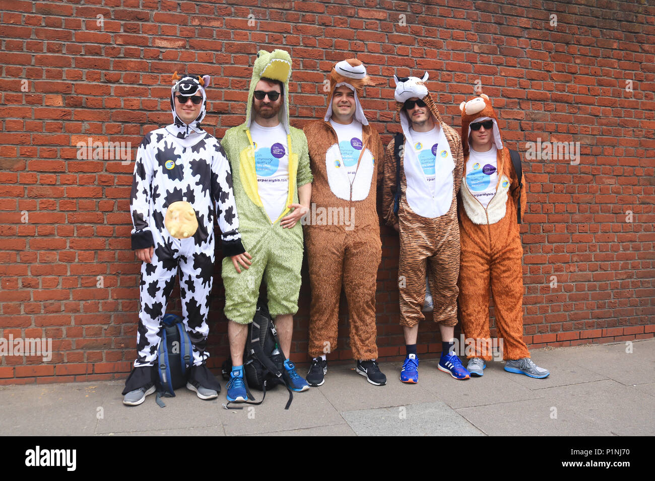 Cricket fans fancy dress hi-res stock photography and images - Alamy