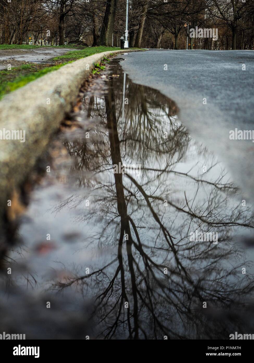 Reflections after a rainy day Stock Photo - Alamy