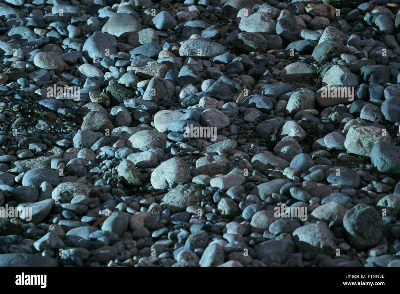 Smooth worn black basalt pebbles in a full frame background texture ...