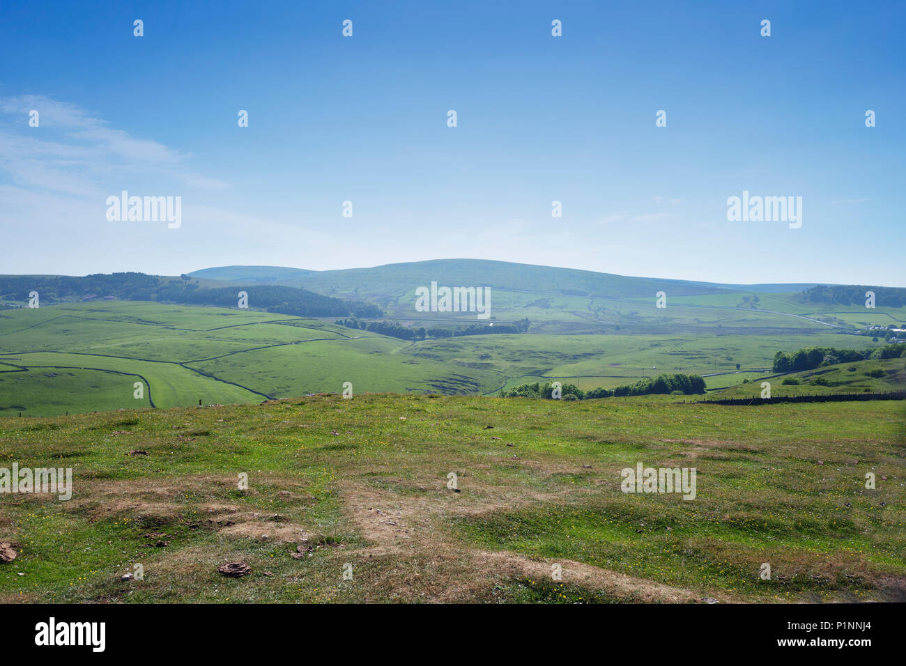 Grin low country park hi-res stock photography and images - Alamy