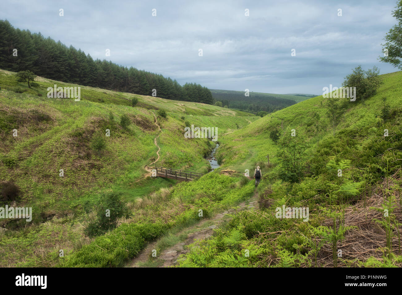Views of Goyt's Moss Valley in beautiful countryside near Buxton in ...