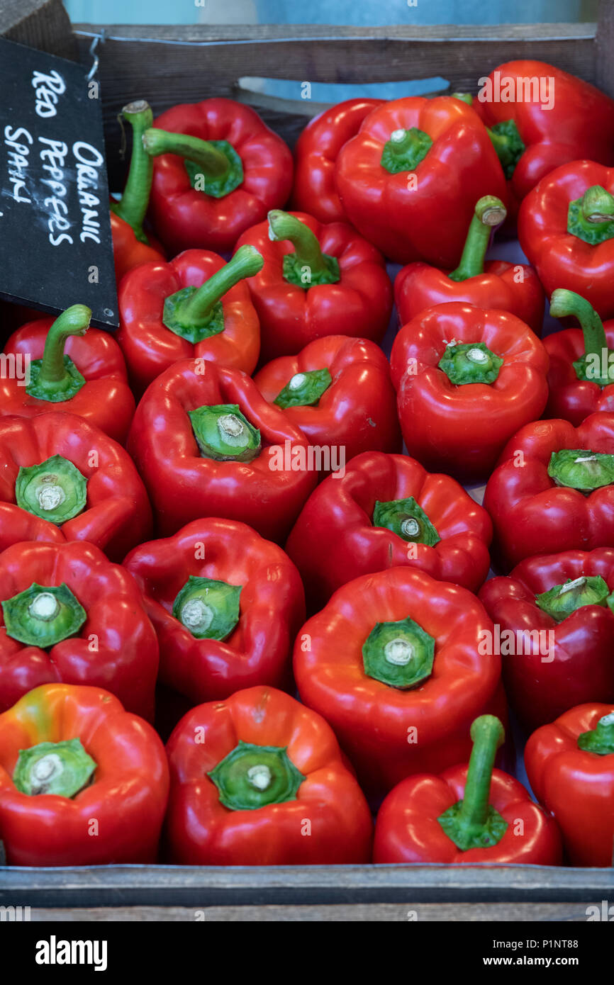 Organic red peppers for sale at Daylesford Organic farm shop summer ...