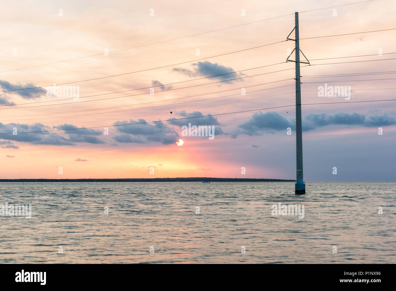 Sunset in Islamorada, Florida Keys, with pink sky, power lines, green ...