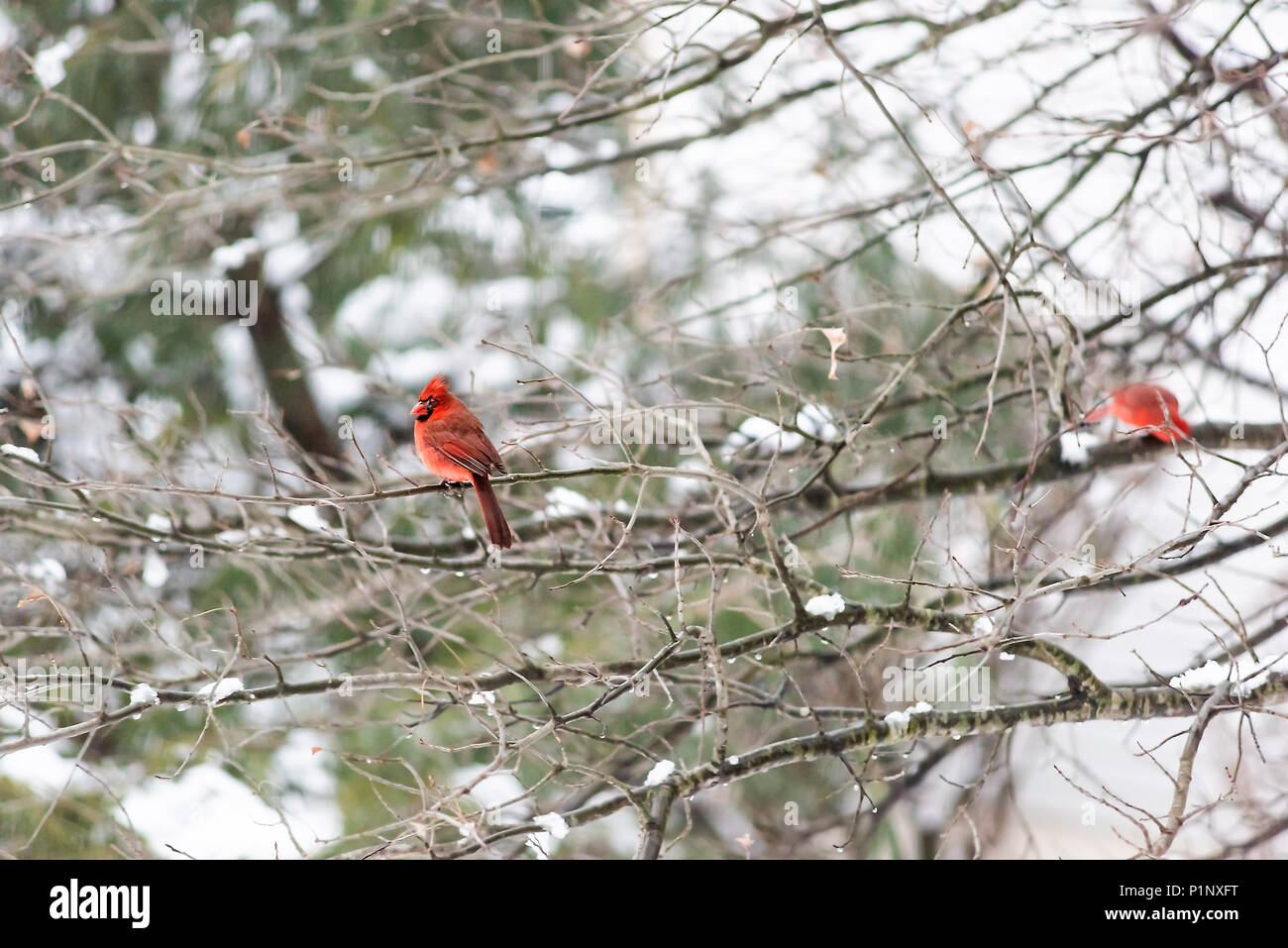 Sick ill hi-res stock photography and images - Alamy
