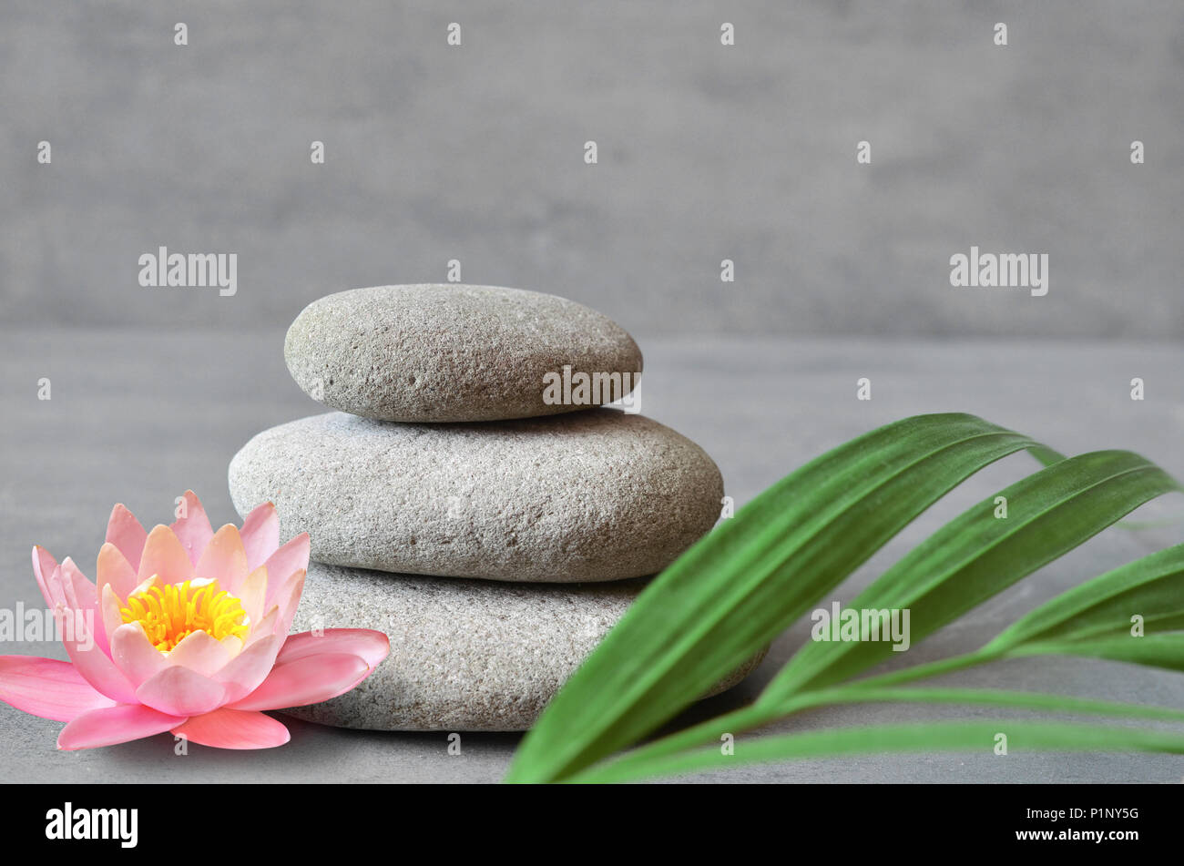 Stones balance, pink flower lotus and green palm leaf. Zen and spa ...