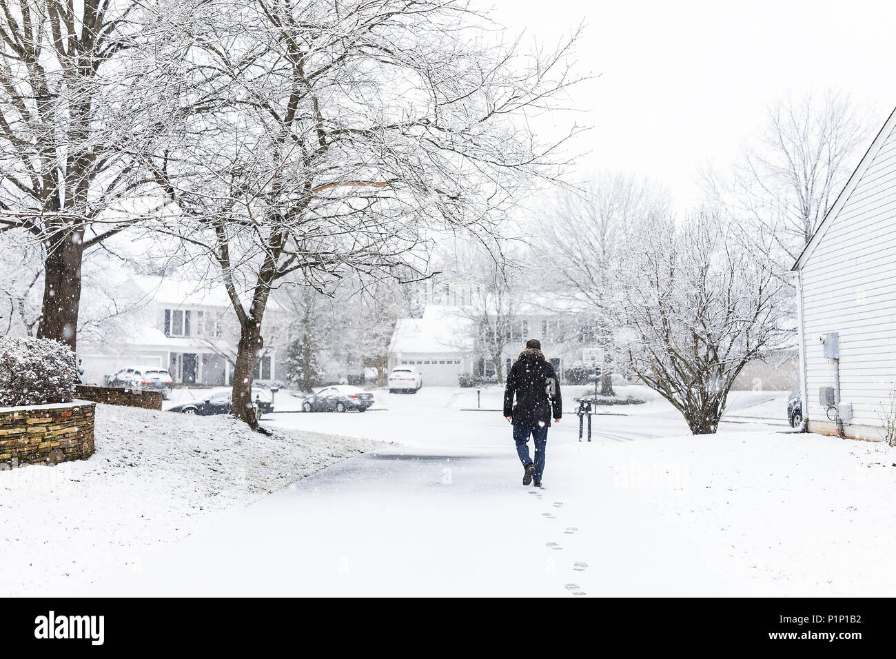 Checking family tree hi-res stock photography and images - Alamy