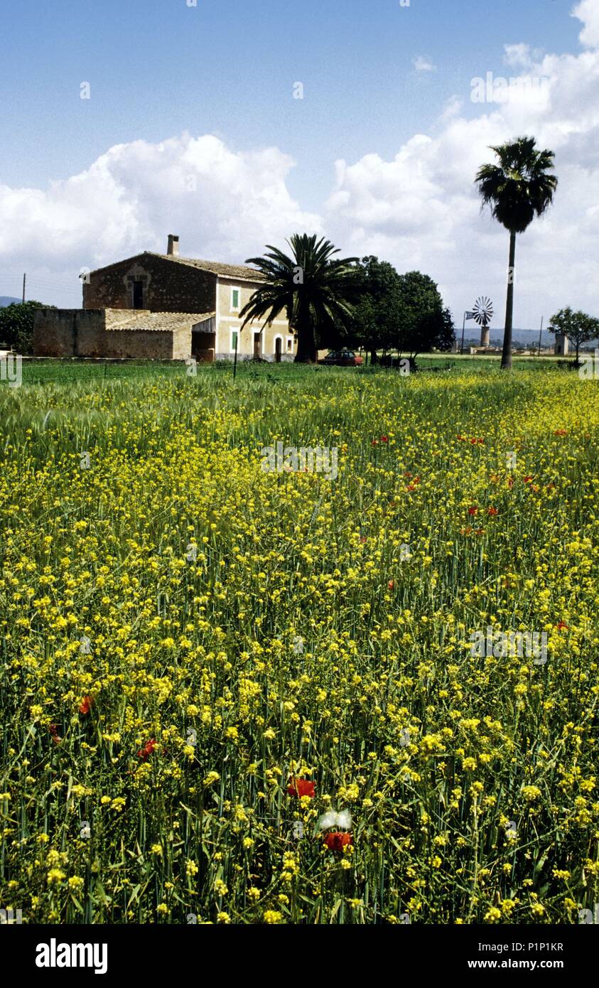 next to Palma; landscape and farm house Stock Photo - Alamy