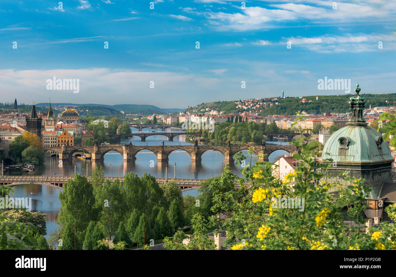 Prague city scenery with the Vltava river crossed by many and beautiful ...