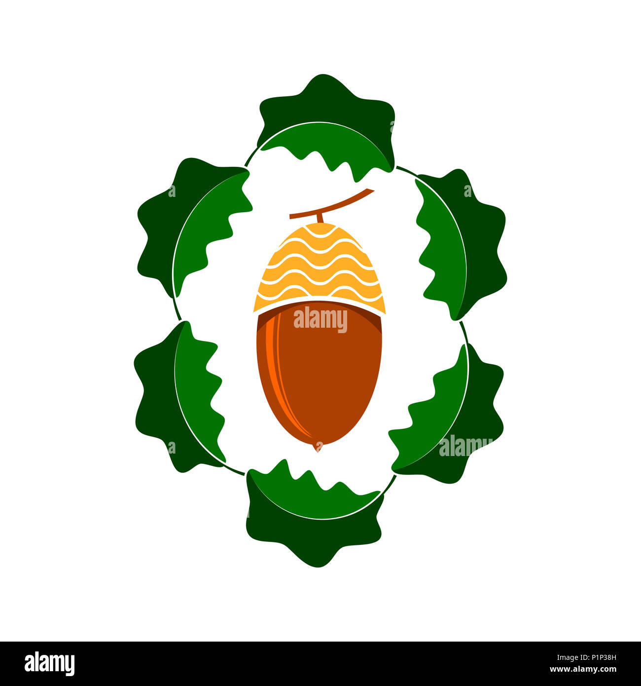 Ripe Acorn Icon Isolated on White Background. Autumn Oak Nut and Leaves ...