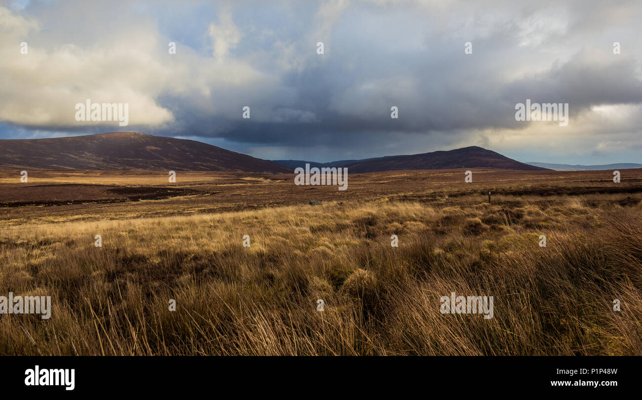 Wicklow Mountains National Park, Ireland Stock Photo - Alamy