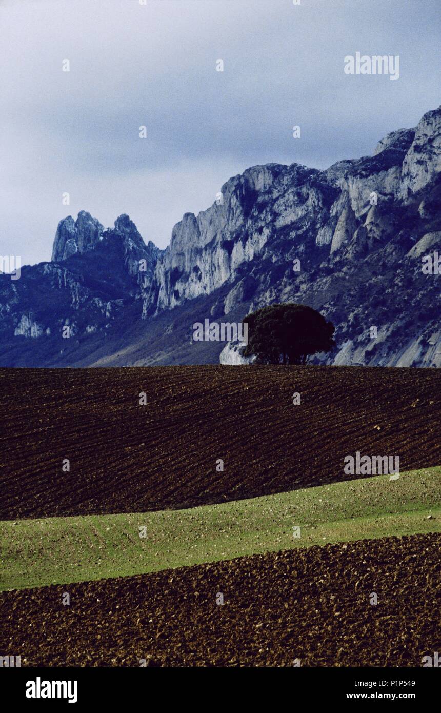 Cabredo hi-res stock photography and images - Alamy