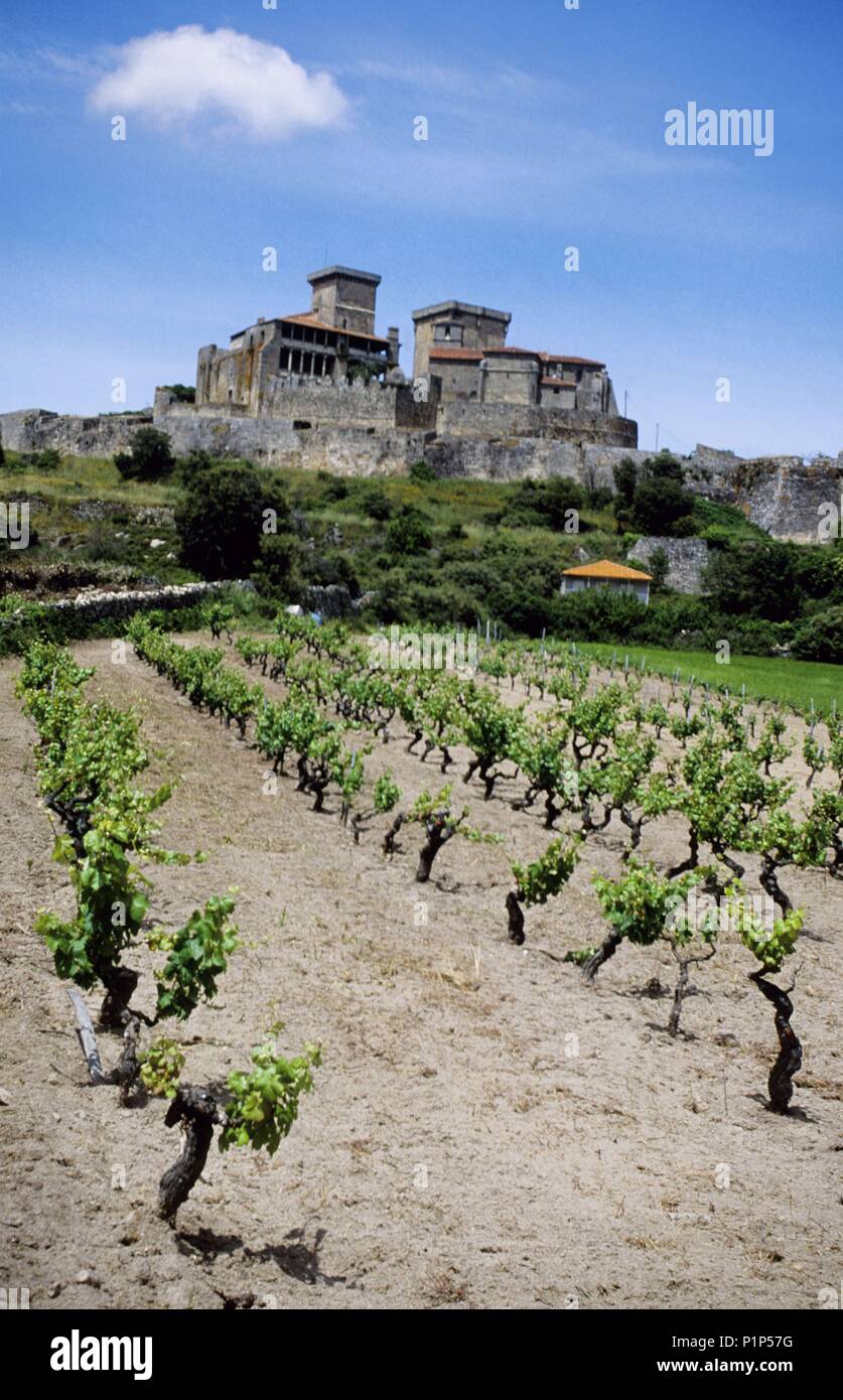 Verín, Monterrey Castle and vineyard Stock Photo - Alamy