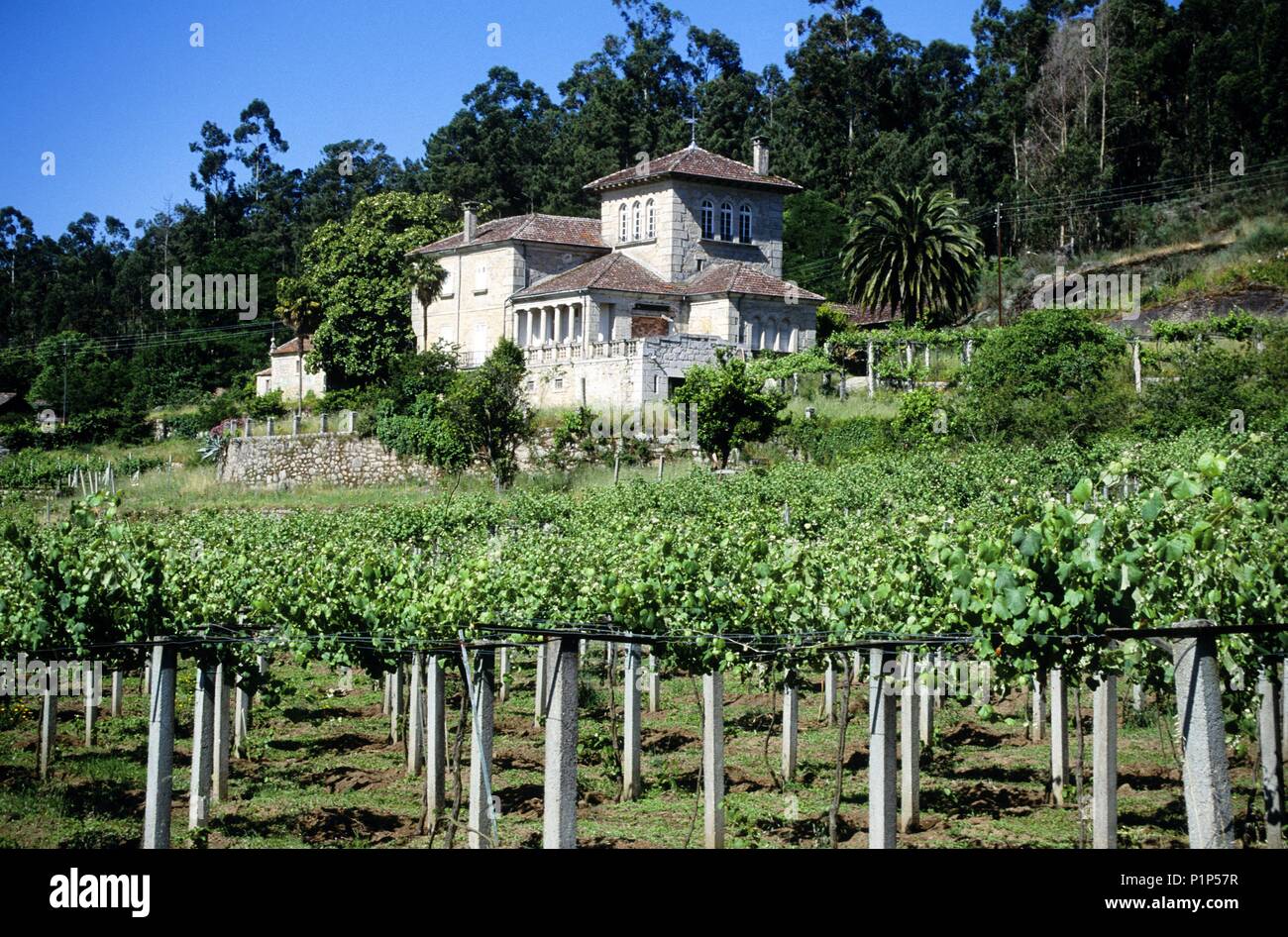 O ribeiro district hi-res stock photography and images - Alamy