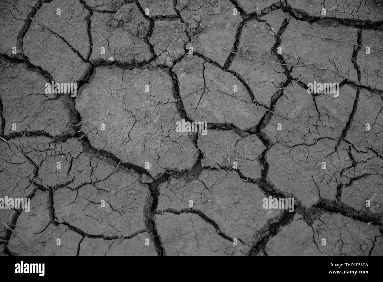 Crackedtexture hi-res stock photography and images - Alamy