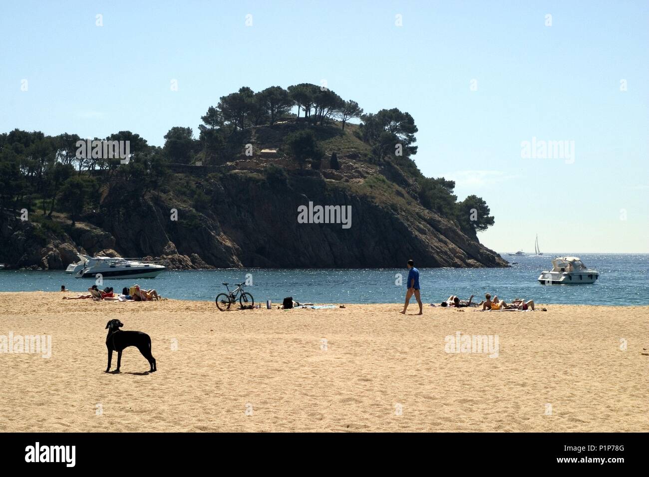 Castell beach palamos hi-res stock photography and images - Alamy