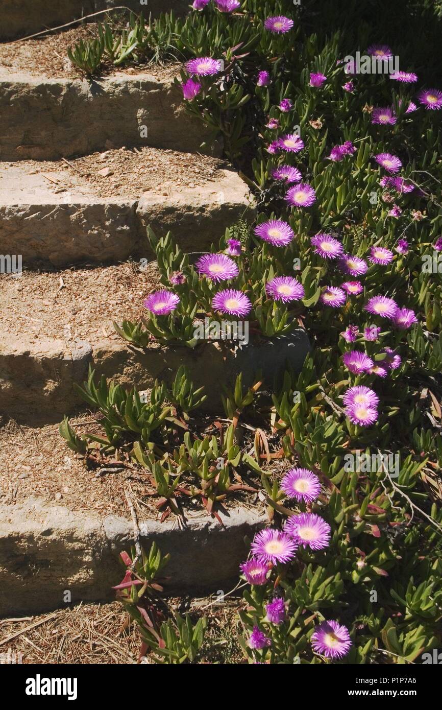 Cala del crit hi-res stock photography and images - Alamy