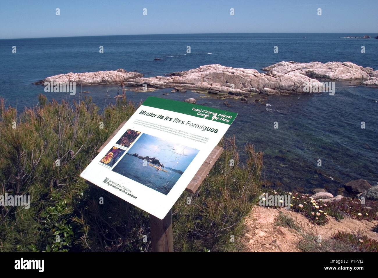 Formigues hi-res stock photography and images - Alamy