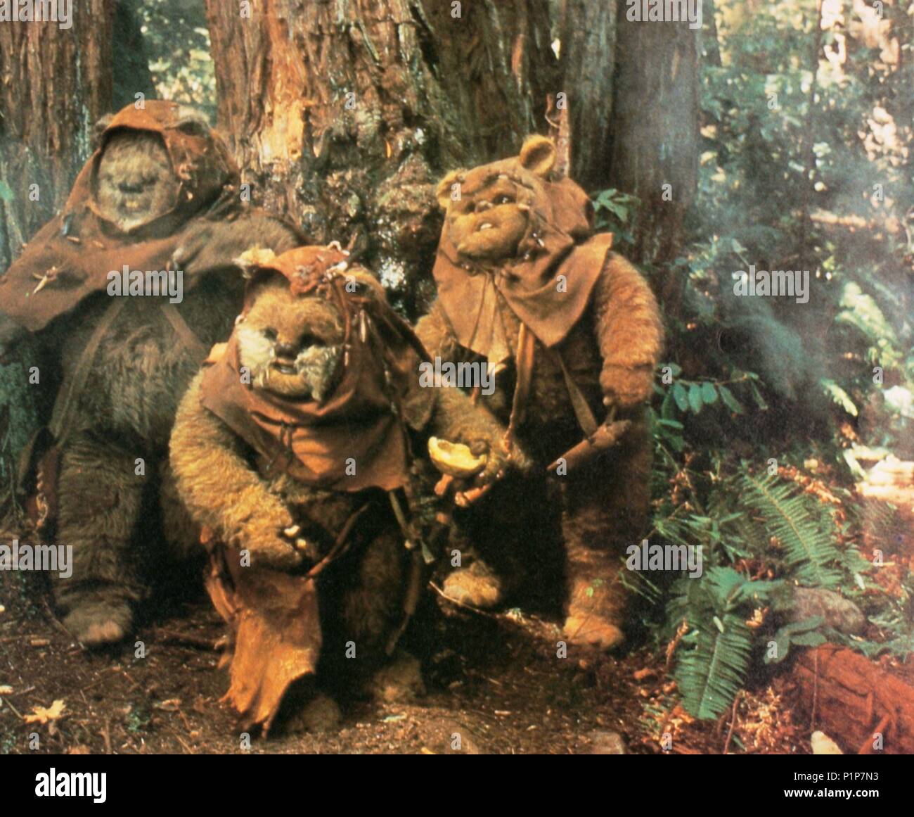 Original Film Title: THE EWOK ADVENTURE. English Title: THE EWOK ADVENTURE. Film Director: JOHN ...
