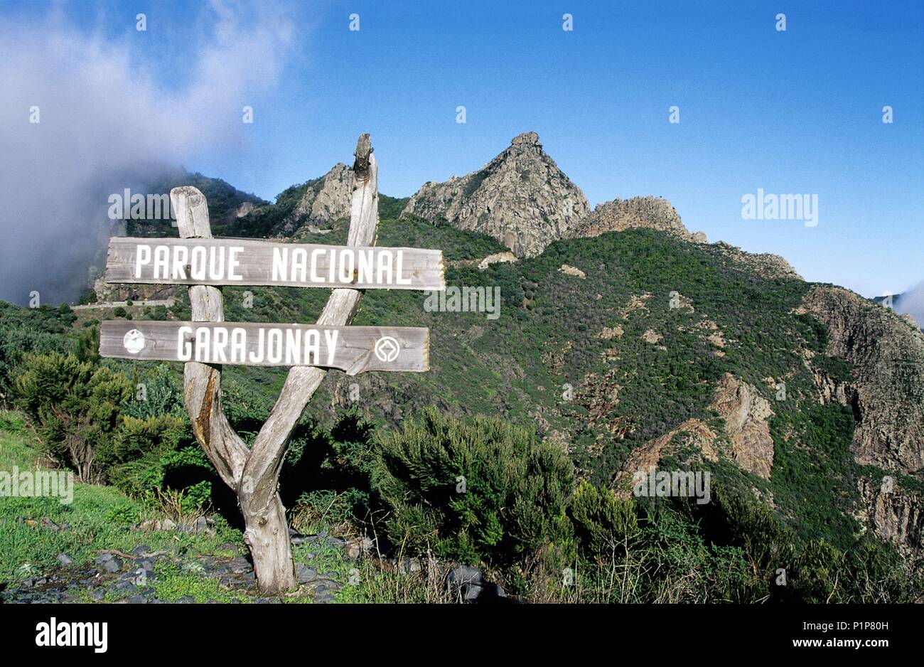 Parque Nacional de Garajonay (National Park); entrance and mountain ...