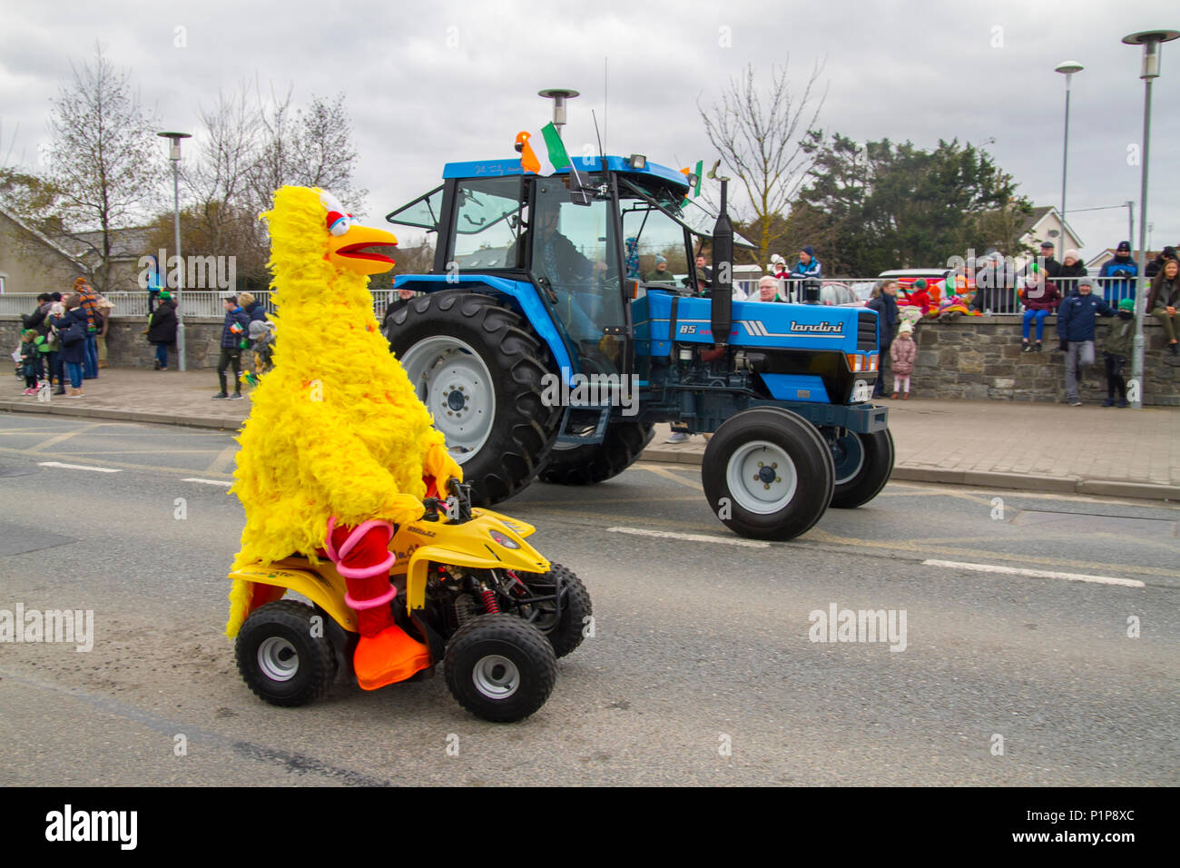 Big bird, sesame street, muppet, puppet in St Patricks Day Parade ...