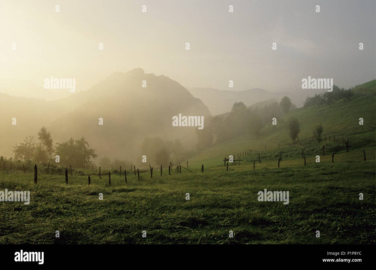 Ponga, asturias hi-res stock photography and images - Alamy