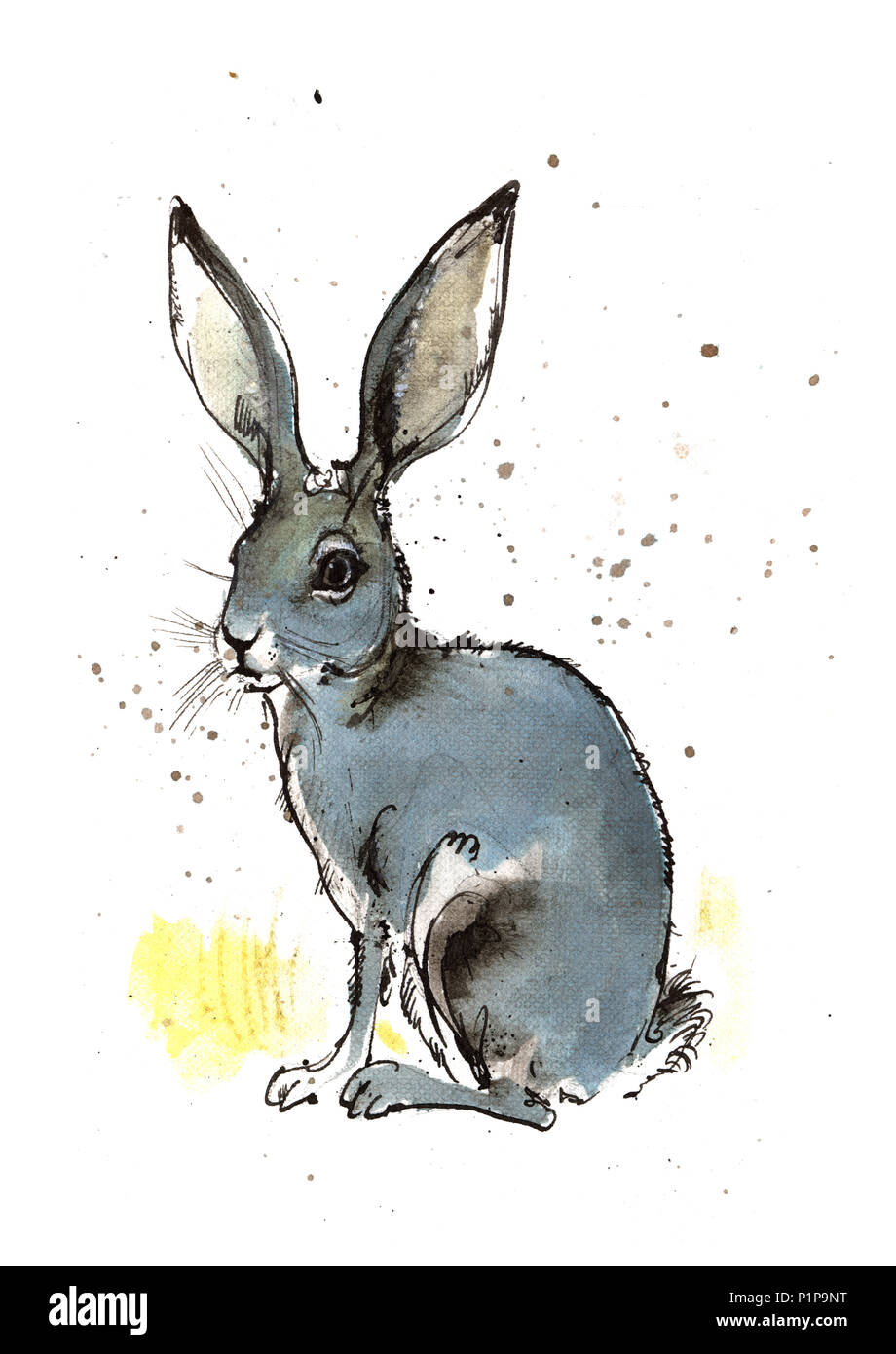 ink painting of hare Stock Photo - Alamy