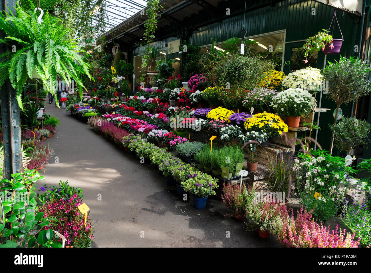 Paris flower market Stock Photo - Alamy