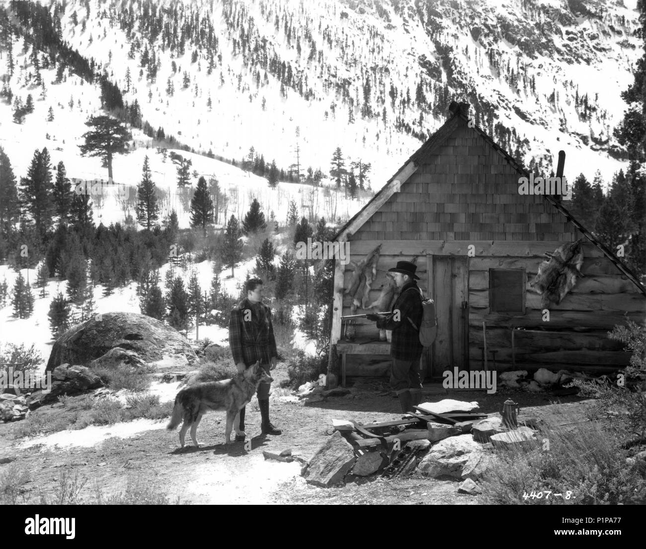 Original Film Title: ALASKA. English Title: ALASKA. Film Director ...