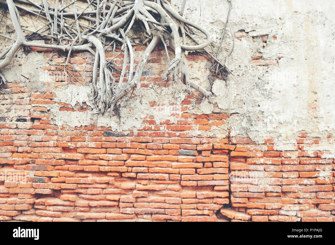 root wood covered brick wall Stock Photo - Alamy