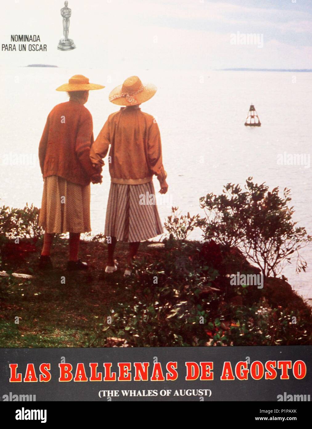 Original Film Title: THE WHALES OF AUGUST. English Title: THE WHALES OF ...