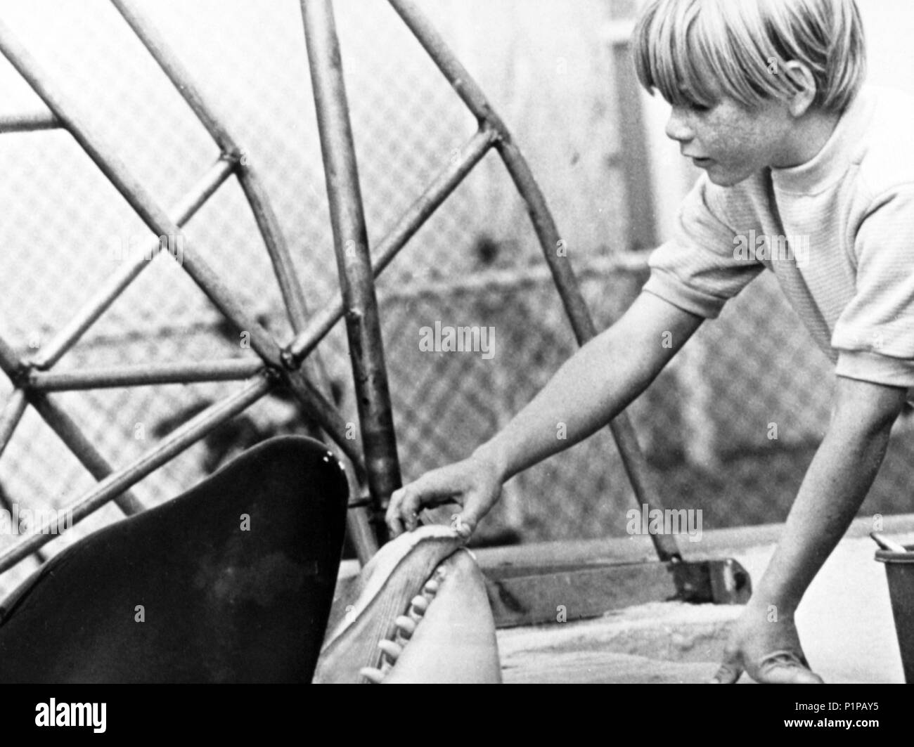 Original Film Title: A WHALE OF A TALE. English Title: A WHALE OF A ...
