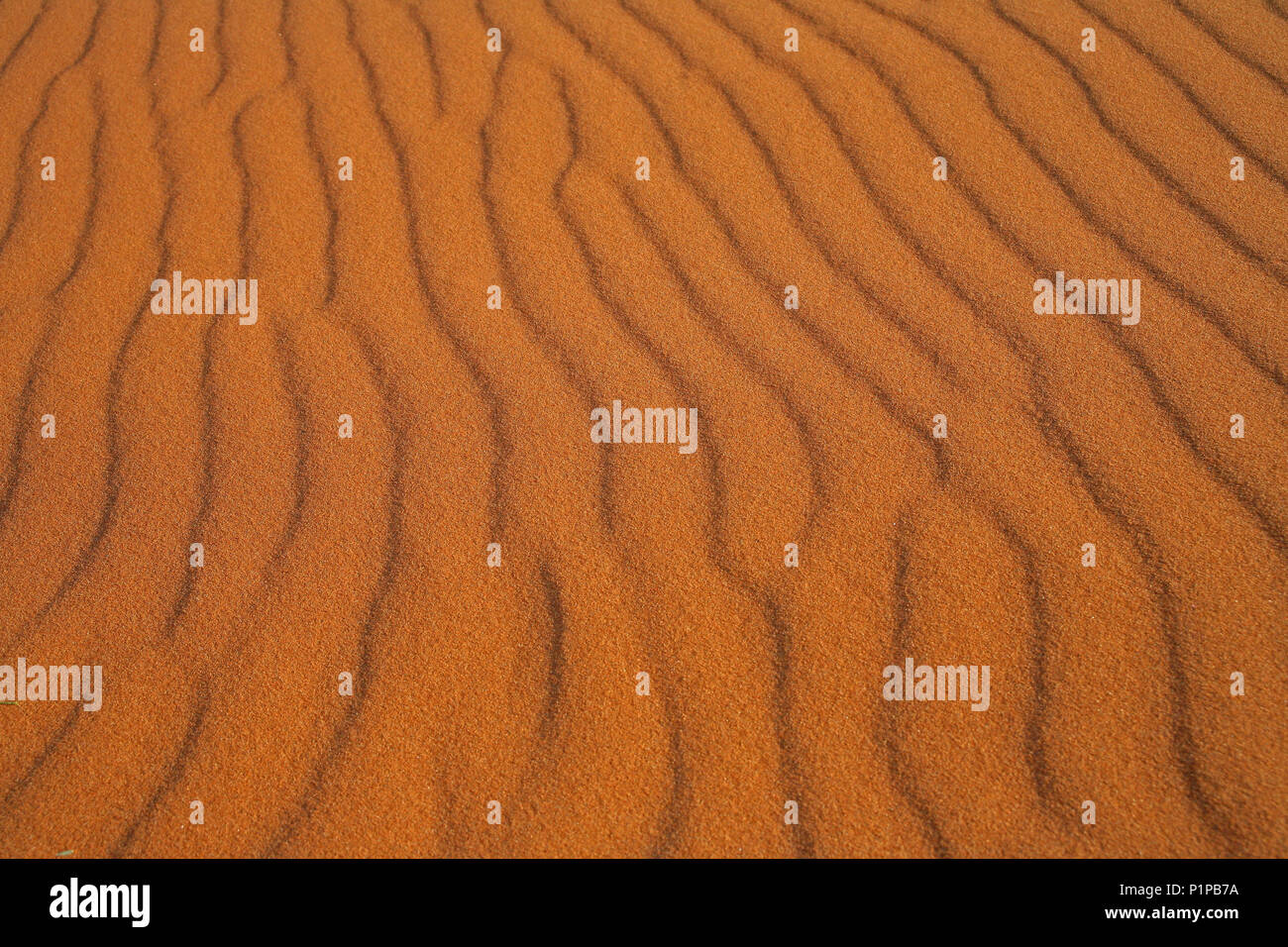 Sand tracks in the Namib desert Stock Photo - Alamy
